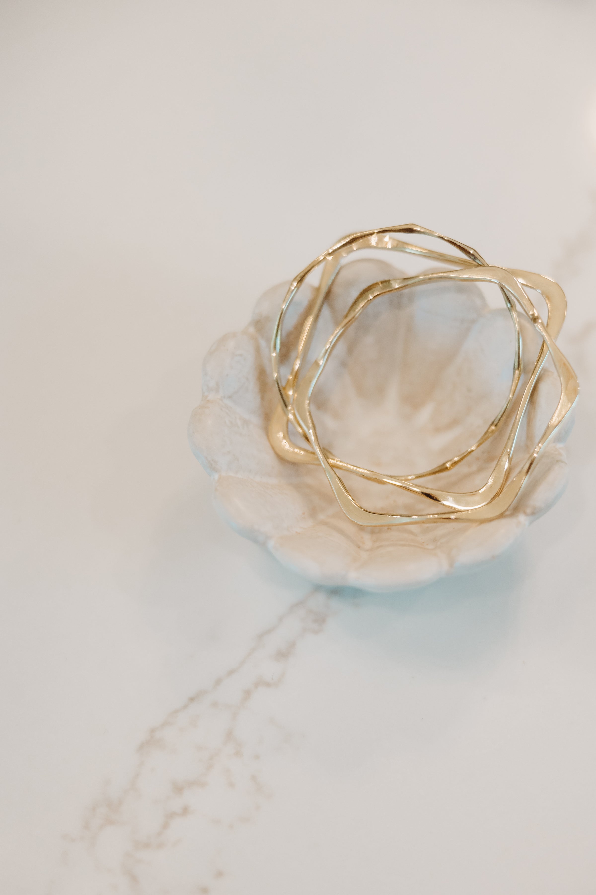 About the Team Portfolio Shop