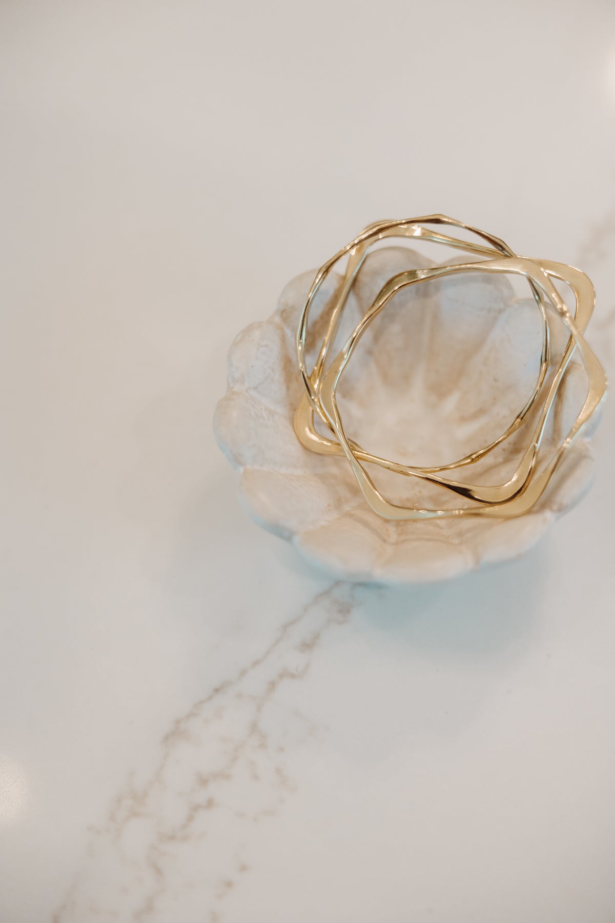 About the Team Portfolio Shop