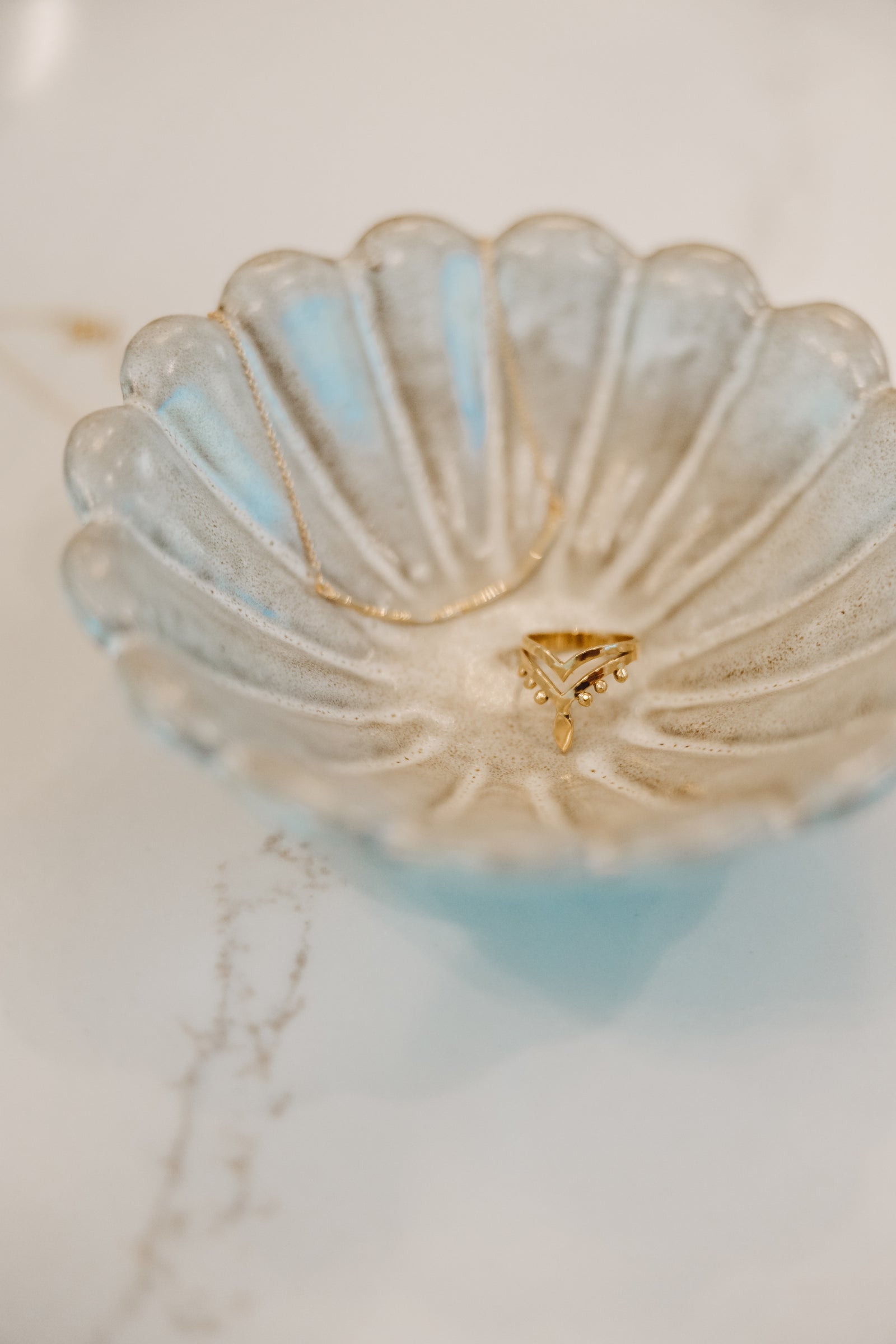 About the Team Portfolio Shop